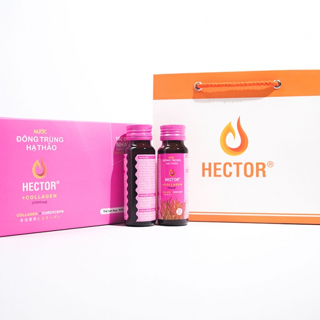 Hector Collagen đông trùng hạ thảo